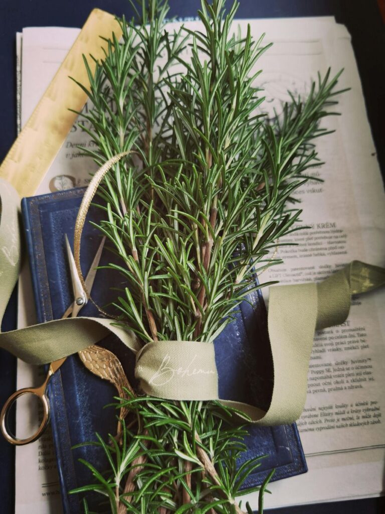 Rosemary, Cloves, and Hibiscus: The Trio for Stronger Hair - Beauty360